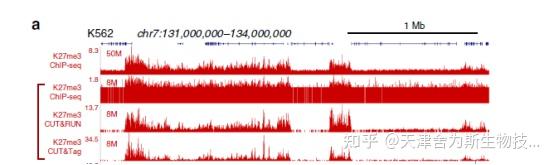 一文看懂CUT&Tag技术|解锁比ChIP-seq更精准高效的DNA和蛋白质互作研究 - 知乎