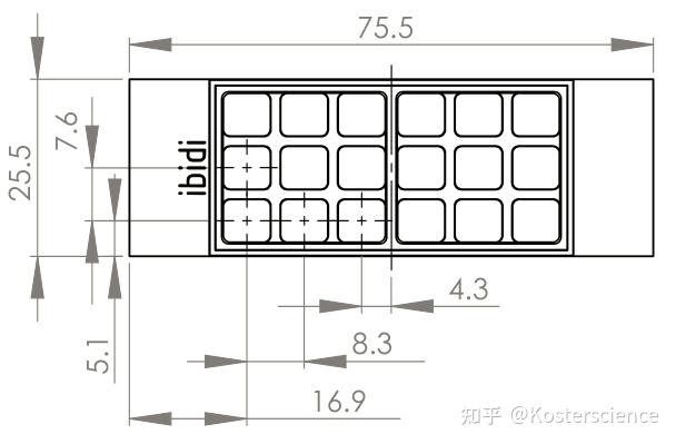 细胞共培养，不同凡响 | ibidi 双腔室共培养载玻片玩转指南 - 知乎