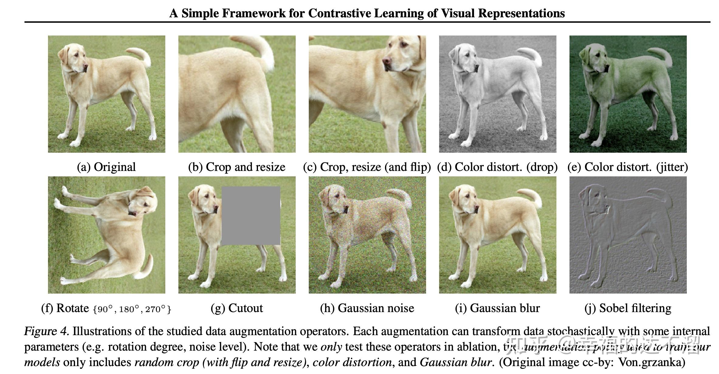 CNN的无监督学习-SimCLR系列和MoCo系列 - 知乎