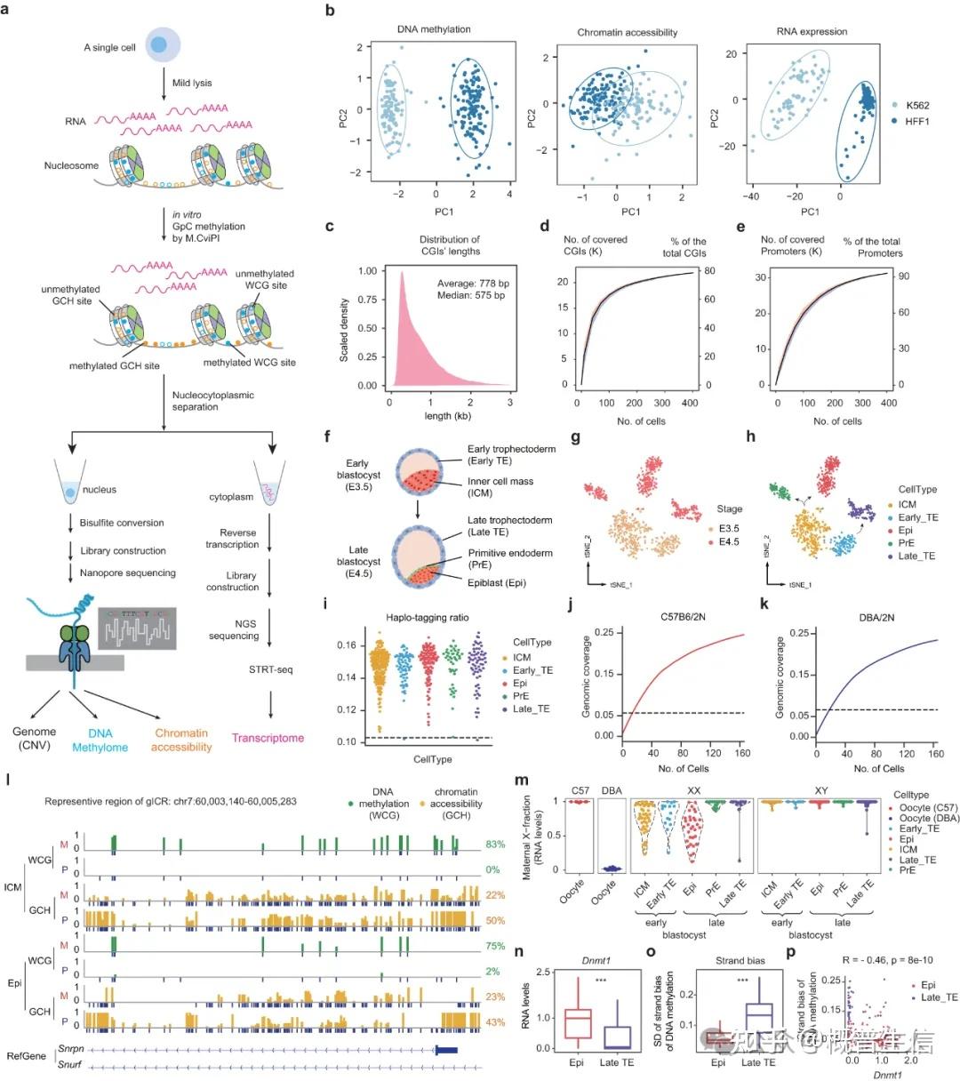 单细胞组学学术标杆，汤神是怎样炼成的？ - 知乎