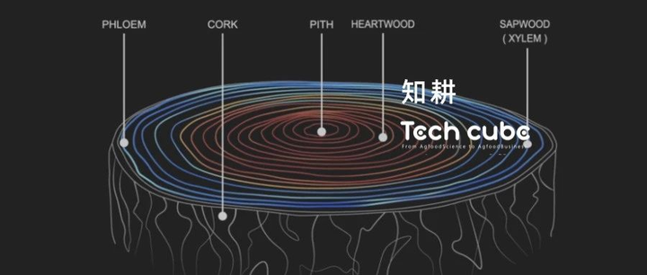 植物含水量实时监测，Treetoscope低成本高精度智慧灌溉管理 - 知乎