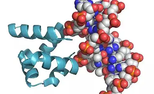 DBCO-PEG-Concanavalin A，DBCO-PEG-Heparin ， 二苯并环辛炔-聚乙二醇-刀豆球蛋白，肝素 - 知乎