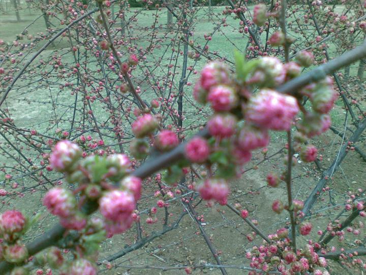 J18. 怎么样才能保证两份纸件合同的内容完全一致？ - 知乎