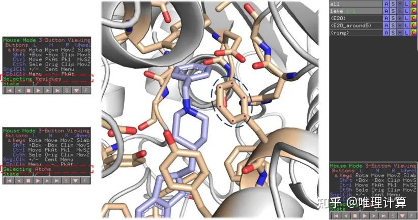 计算干货||PyMOL基础与相互作用分析 - 知乎
