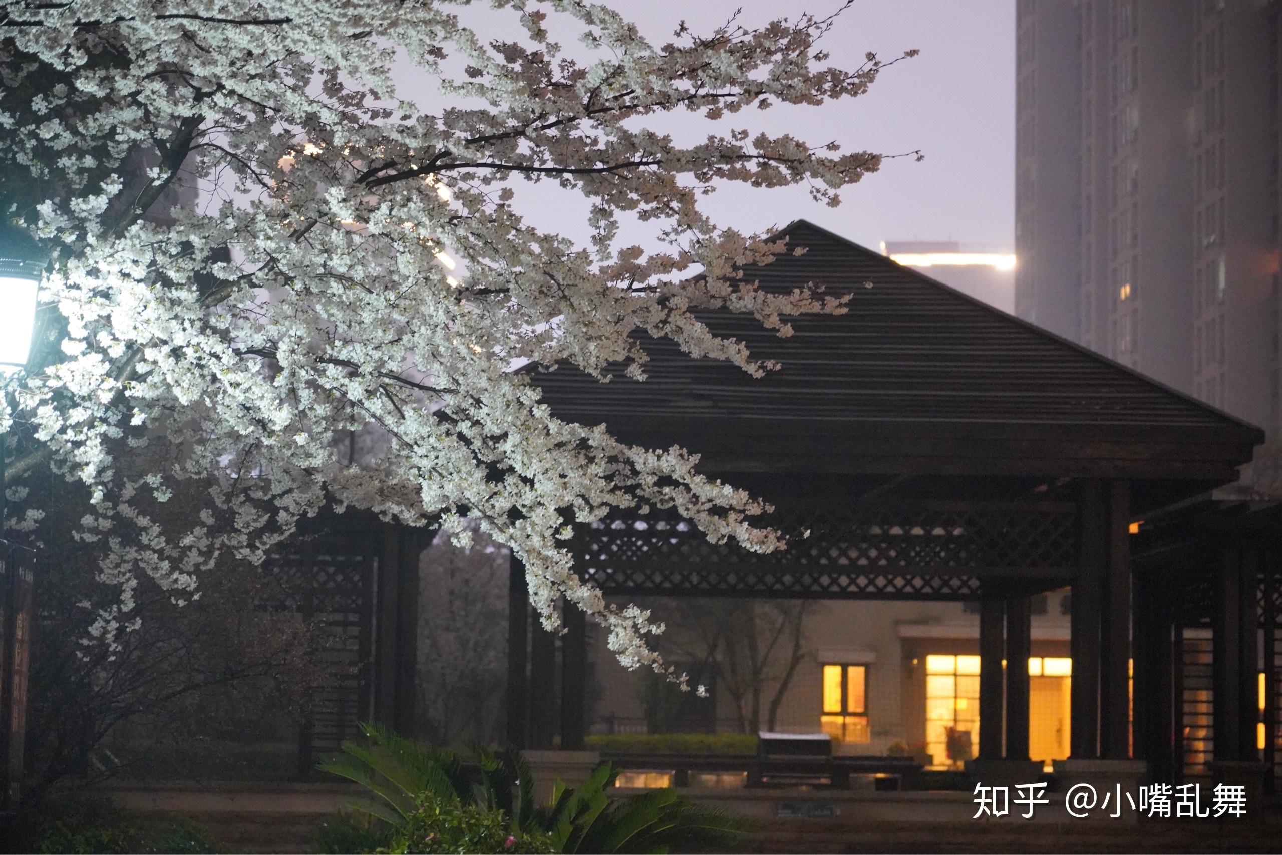 索尼机身准备买a7m3，镜头选24-105还是24-240? - 知乎