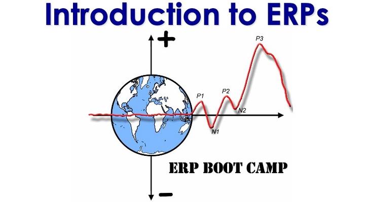 最新ERPs入门视频教学（Steven J. Luck） - 知乎