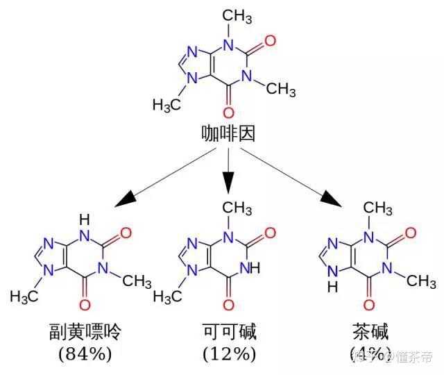 茶的咖啡因含量远超咖啡，但为啥不如咖啡提神？ - 知乎