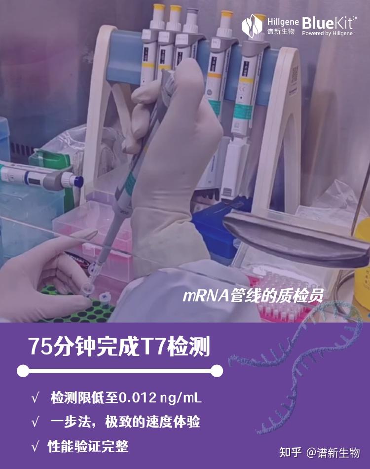 T7 RNA酶怎样转录单链DNA？ - 知乎