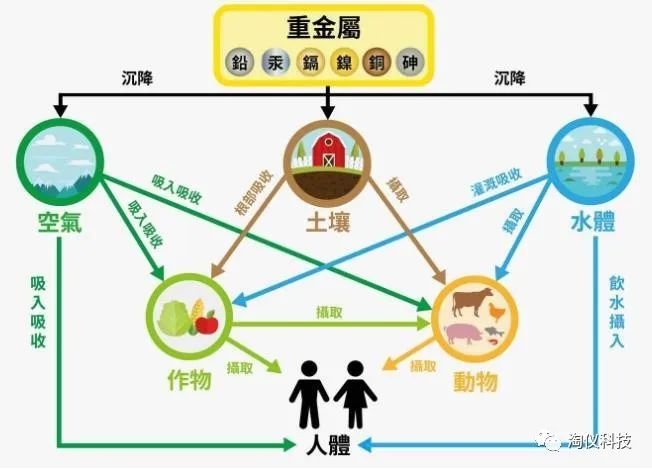 米面重金属污染物来源及其检测方法 - 知乎