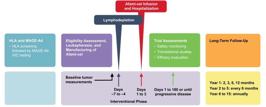 全球首款TCR-T疗法Tecelra上市，临床试验效果显著 - 知乎