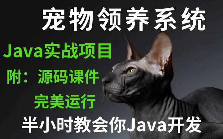 2022最火项目,宠物领养系统 Java实战 知乎