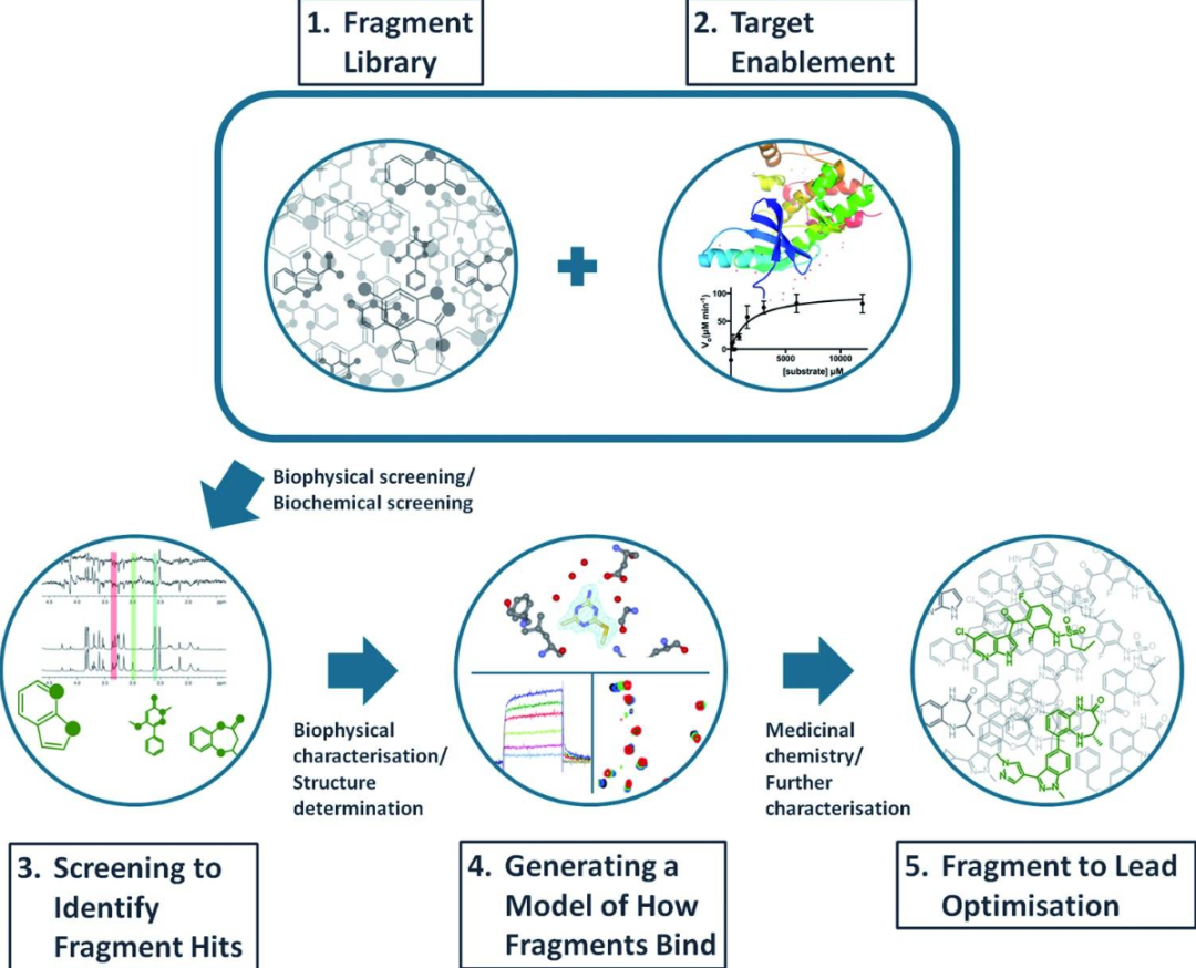 综述：基于片段的药物设计（FBDD）篇--小分子药物设计的进展 - 知乎