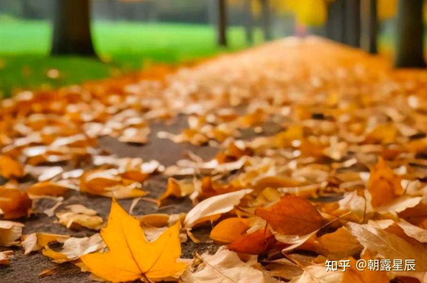 苏轼的《江城子·密州出猎》表达了什么样的情感？ - 知乎