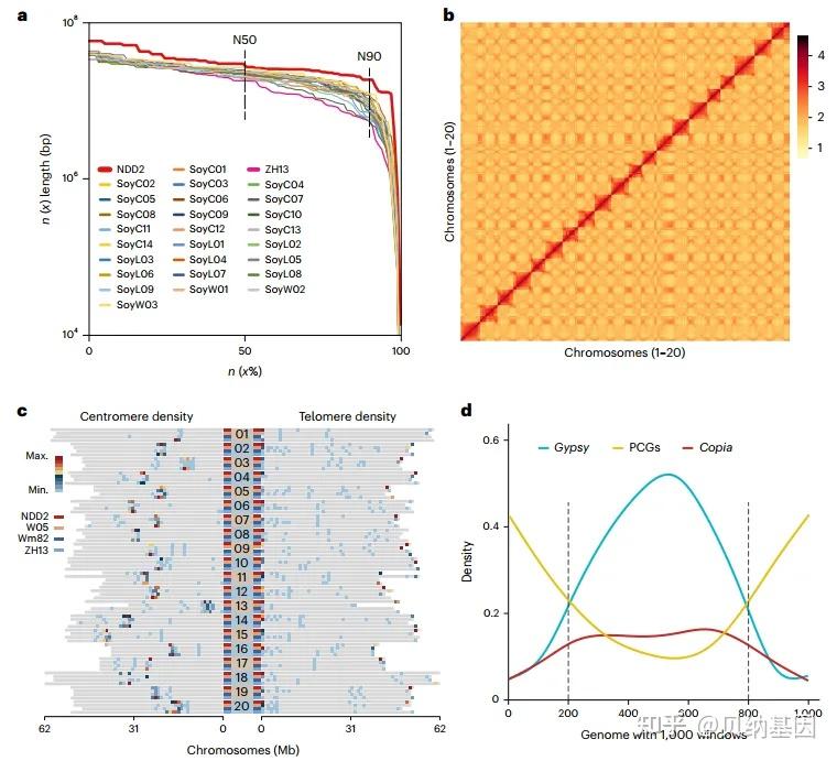 文献解读｜高质量现代大豆品种泛基因组和重测序揭示重要性状结构变异 - 知乎