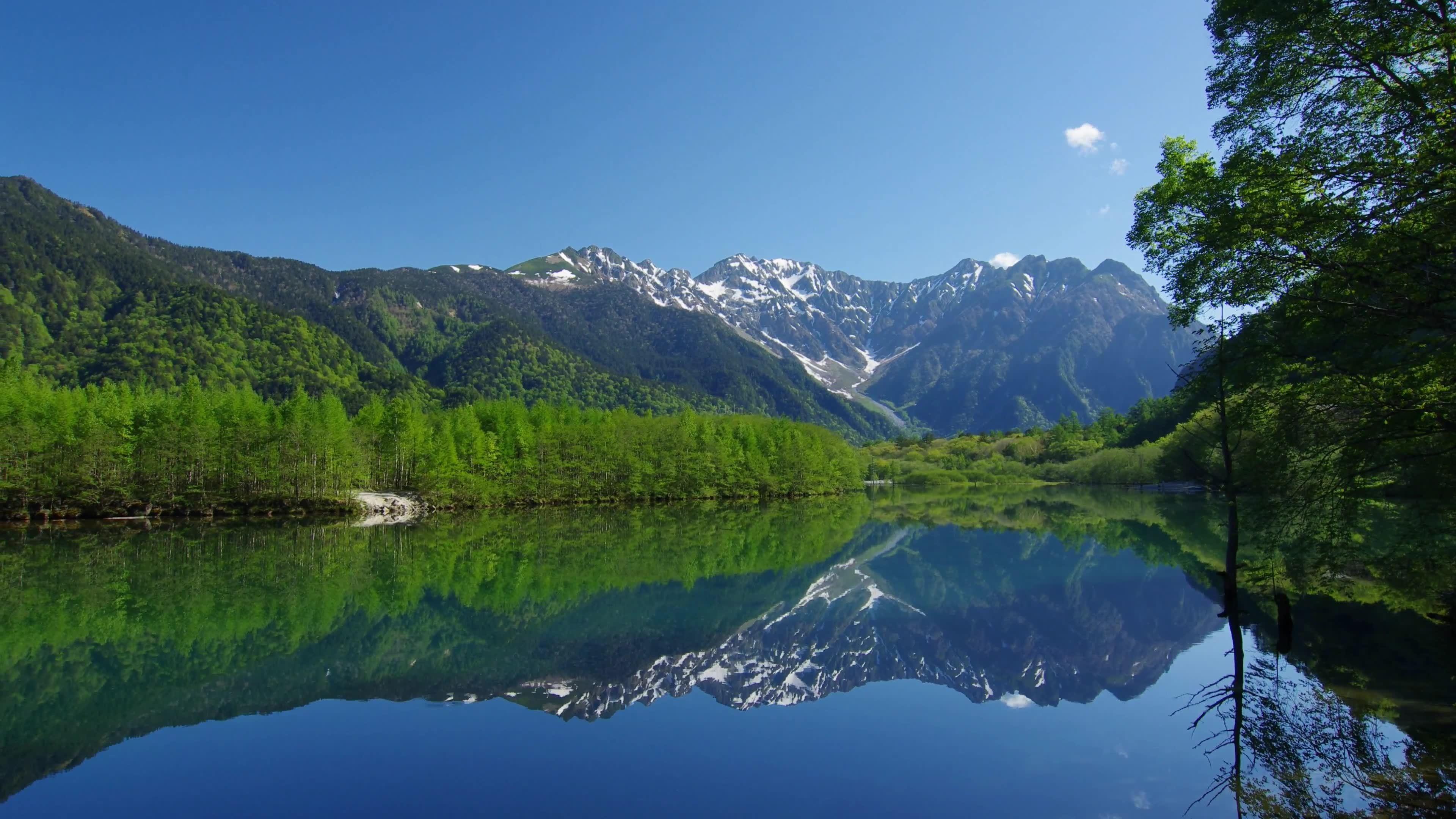 2019年英语专四TEM4·语言运用解析 - 知乎