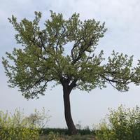 Composer安装webman官方admin出现：curl error 28 while downloading - 知乎