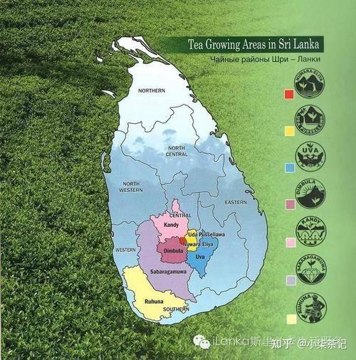 斯里兰卡红茶哪种质量最好 在哪可以买到 ？ - 知乎