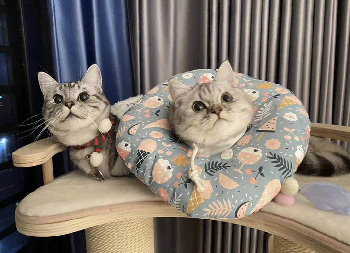 最新出炉！2022 Java 中高级面试 208 问！ - 知乎