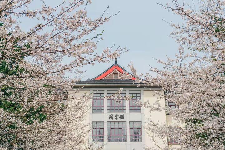 南京林业大学MPAcc会计专硕复试内容 - 知乎
