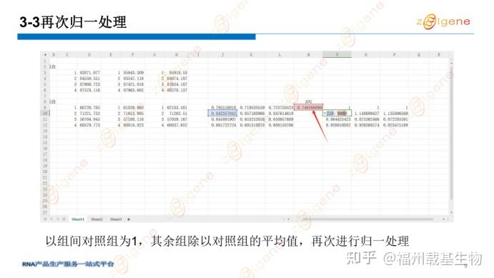 WB数据分析｜手把手教学｜western blot - 知乎