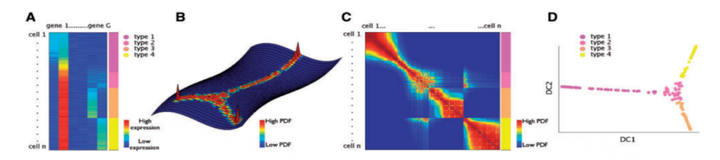 单细胞拟时序分析又一利器—Diffusion Map - 知乎