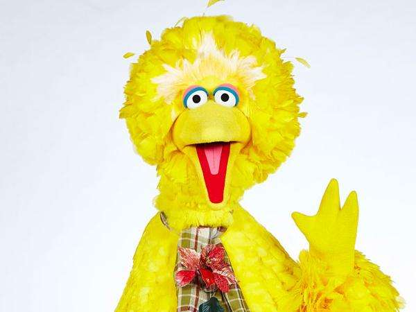 谷歌新模型突破BERT局限：NLP版「芝麻街」新成员Big Bird长这样 - 知乎