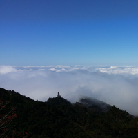 读顺道德经丨“道可道”章：道之真，名之迷，去迷存真 - 知乎