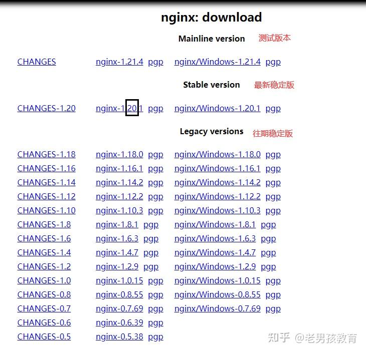 精心为你准备的 Nginx 实战手册，从基础到实战，入门看这篇足够了！ - 知乎