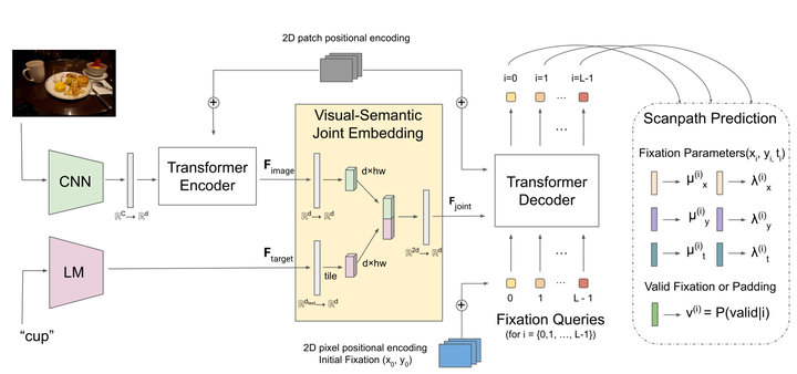 Gazeformer: Scalable, Effective and Fast Prediction of Goal-Directed Human Attention CVPR2023 - 知乎
