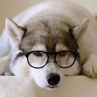 AI 消除-数据集-VDOR: A Video-based Dataset for Object Removal via Sequence Consistency - 知乎