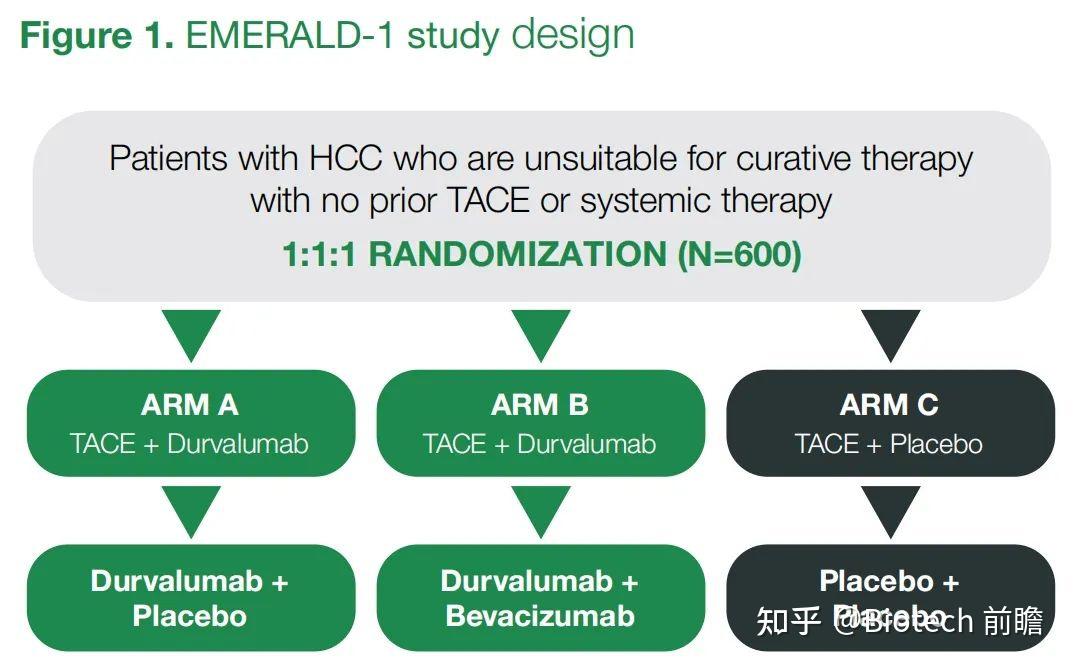 TACE+靶免治疗HCC全球III期成功，汇总TACE研究 - 知乎