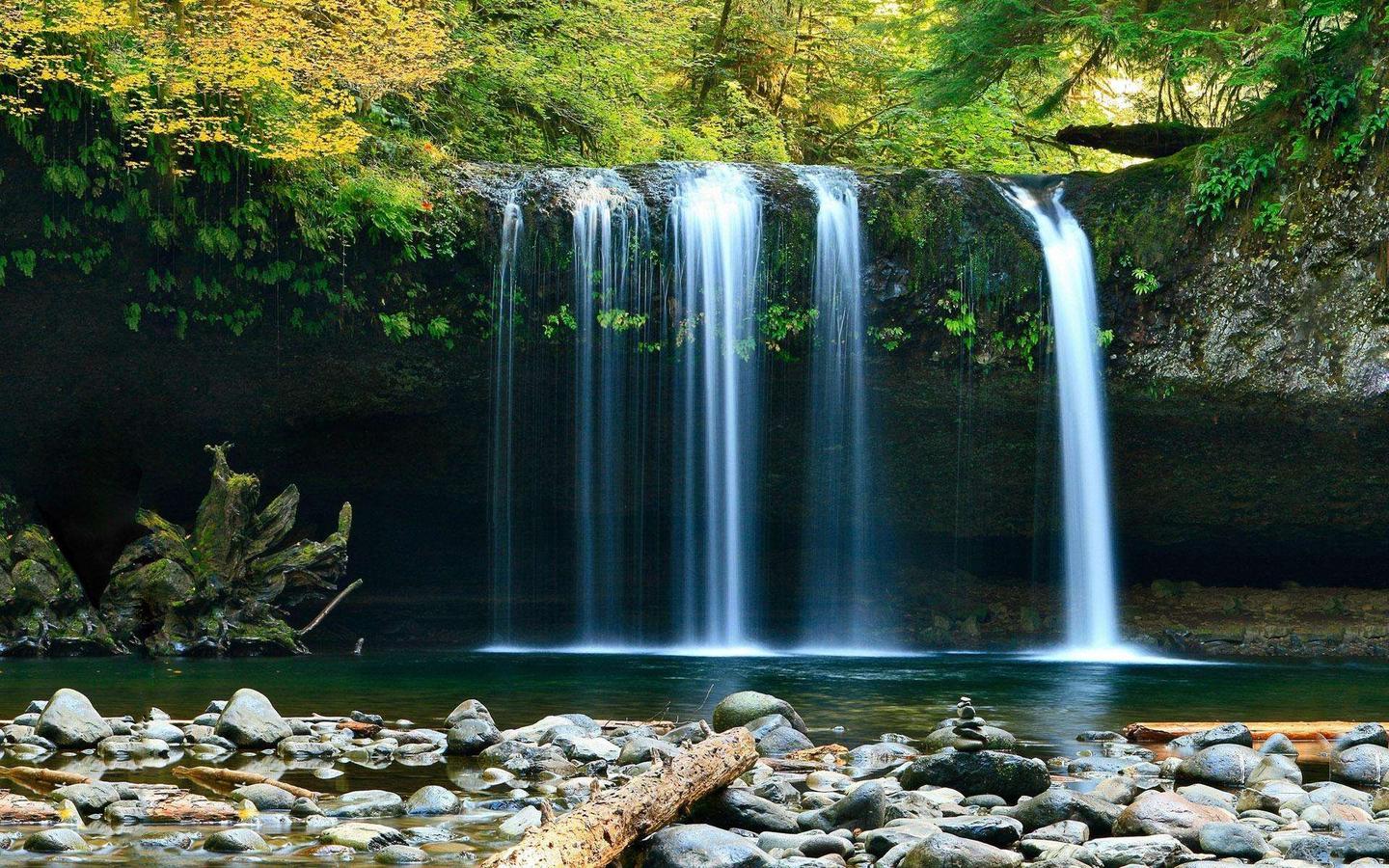 python中numpy.ones()函数怎么用？ - 知乎