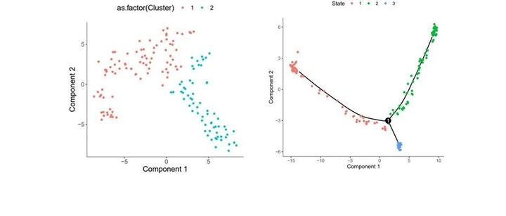 Monocle2 细胞分群与拟时分析实操教程（一） - 知乎