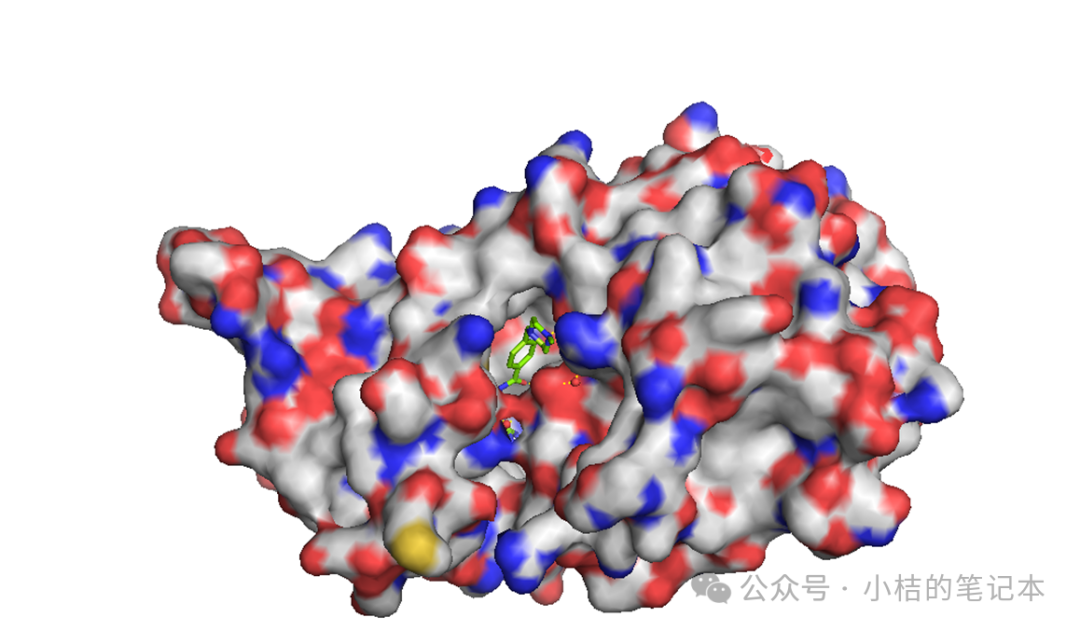 pymol显示小分子结合口袋 - 知乎