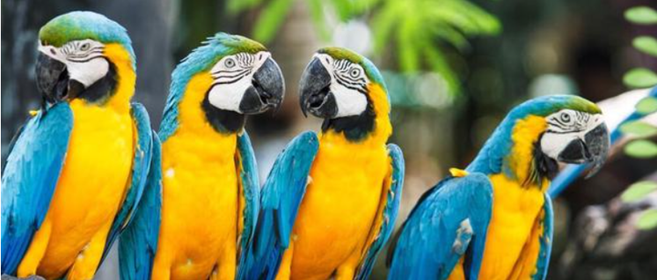 General-Purpose Question-Answering with MACAW - 知乎