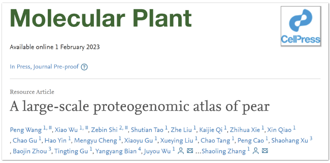 Mol Plant | 南京农业大学梨创新团队发布梨蛋白基因组图谱 - 知乎