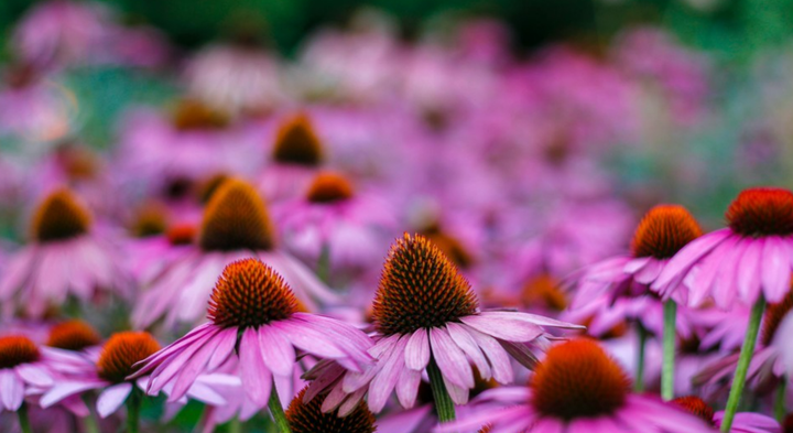 “医保报销”角度解读北京普惠健康保 - 知乎