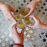 3.1 Chroma-使用指南(python) - 知乎