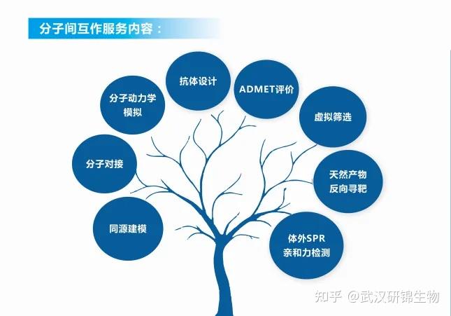 化合物钓靶技术CETSA：原理、应用与展望 - 知乎