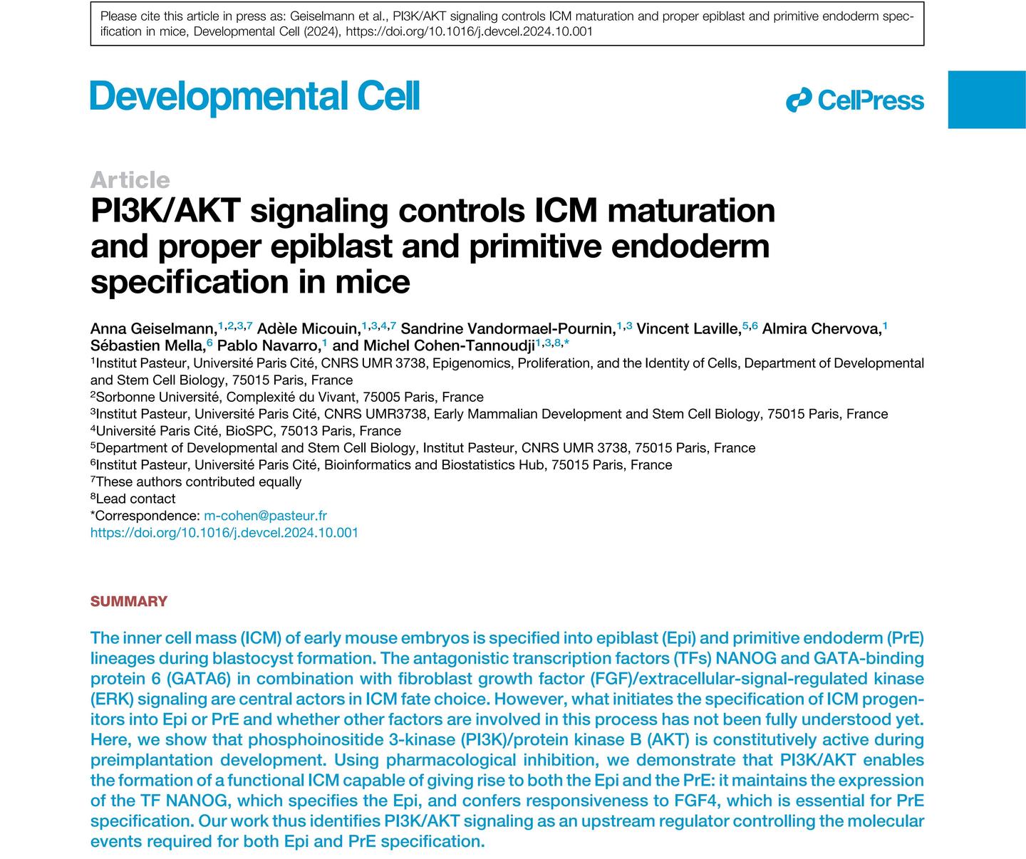 文献分享 | Developmental Cell：PI3K/AKT 信号传导控制小鼠ICM成熟以及上胚层和原始内胚层的正常分化 - 知乎