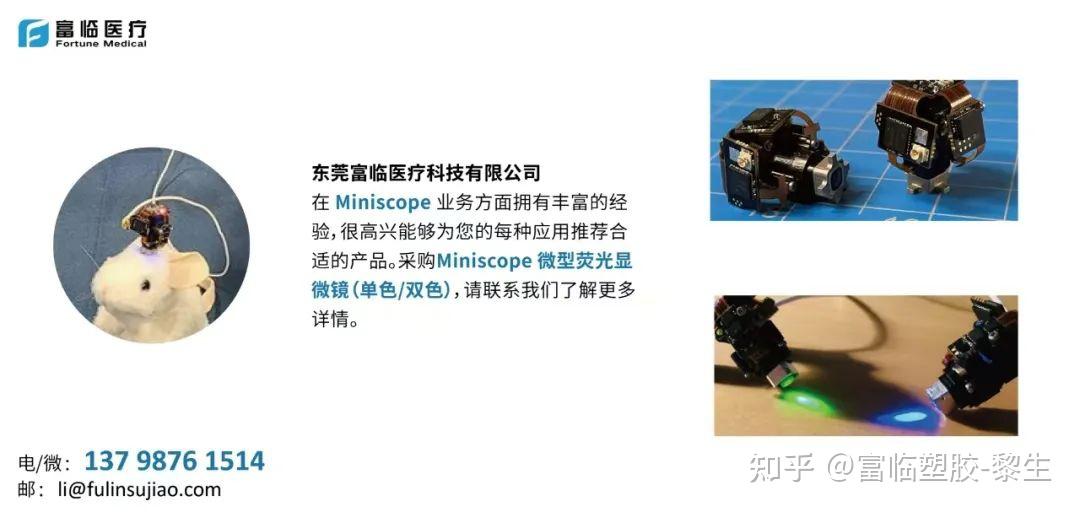 Miniscope光遗传DeepLeMiN：深度学习赋能的物理感知无透镜Miniscope - 知乎