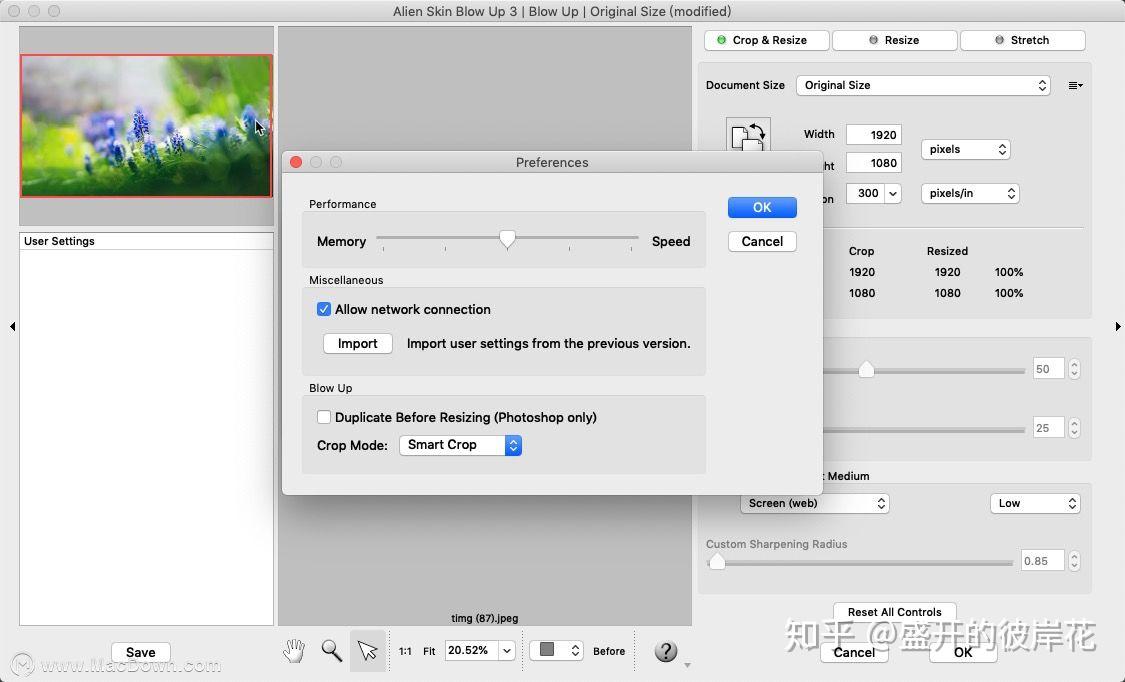 Alien Skin Blow Up 3 for Mac 3.1.4.296 - 知乎