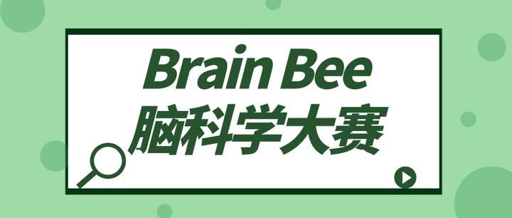 Brain Bee脑科学大赛适合几年级的孩子参加？参赛题型是怎样的？ - 知乎