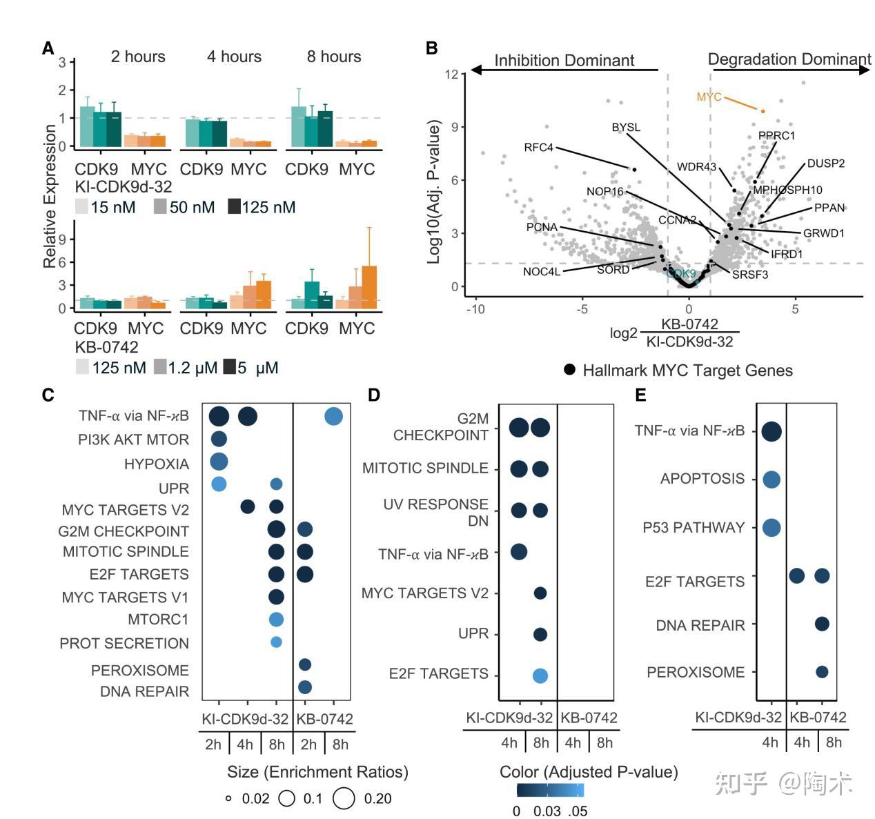 发现新型CDK9降解剂？【TargetMol】 - 知乎
