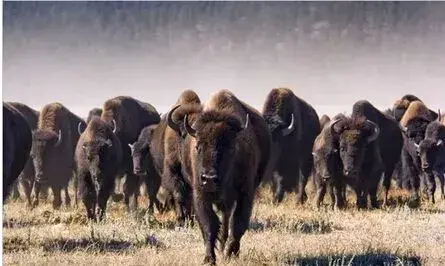 [VLDB 2013]Adaptive and Big Data Scale Parallel Execution in Oracle--学习笔记 - 知乎