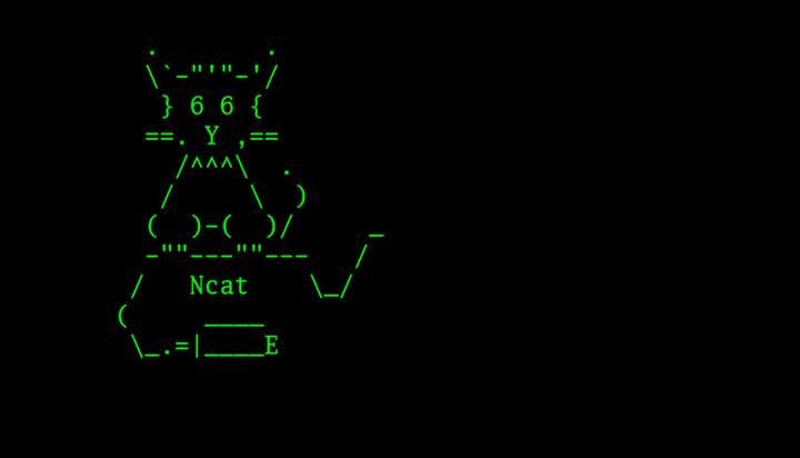 10 个例子教你学会 ncat (nc) 命令 - 知乎