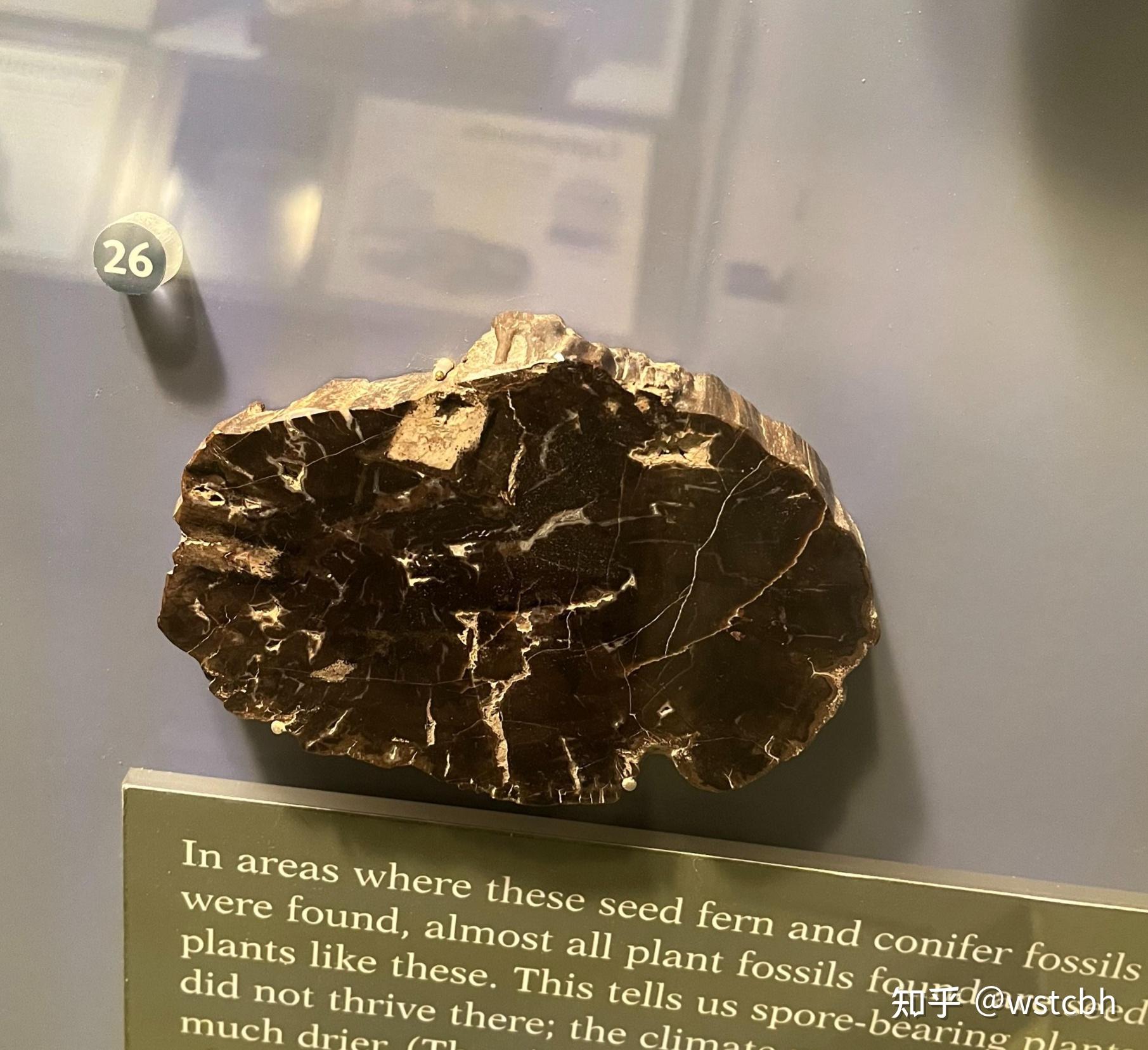 地球发展史？白垩纪，侏罗纪，三叠纪二叠纪。等等！是什么先后顺序？ - 知乎
