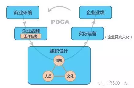 人力资源中的TD, LD, OD有怎样的区别和关联？ - 知乎