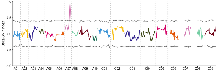 QTL-seq系列 | 使用easyQTLseq进行QTL-seq分析 - 知乎