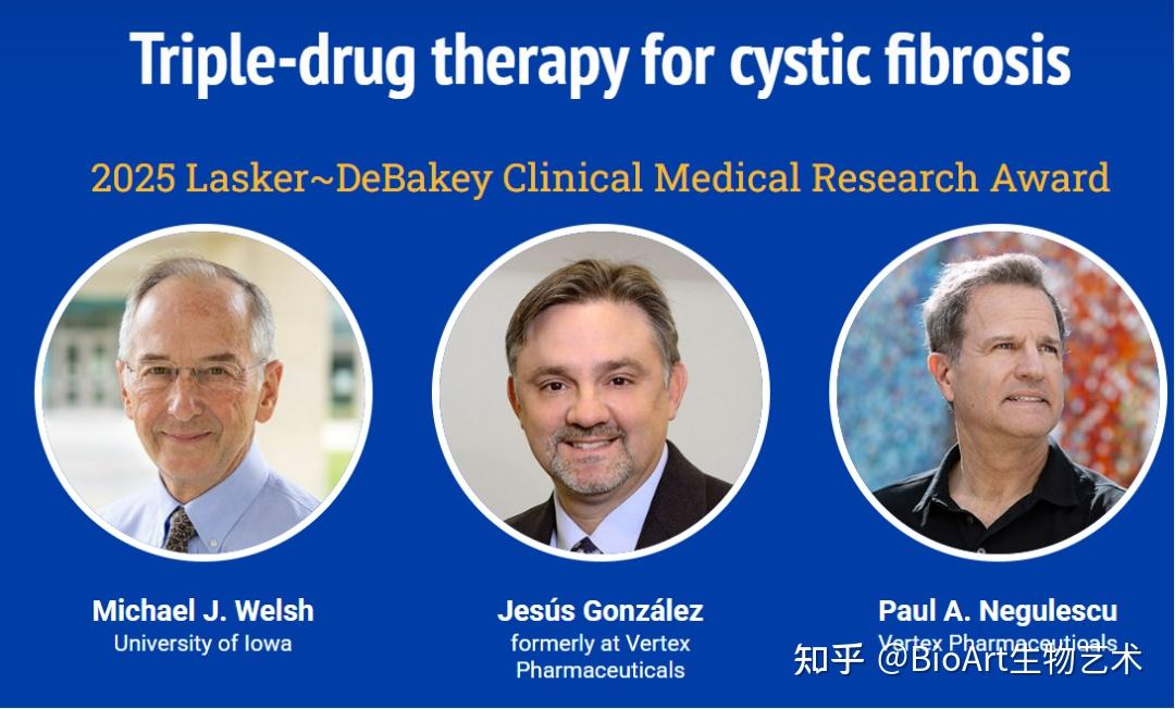 避谈“相分离”——2025年拉斯克奖中意蛋白“低复杂性结构域”研究 - 知乎